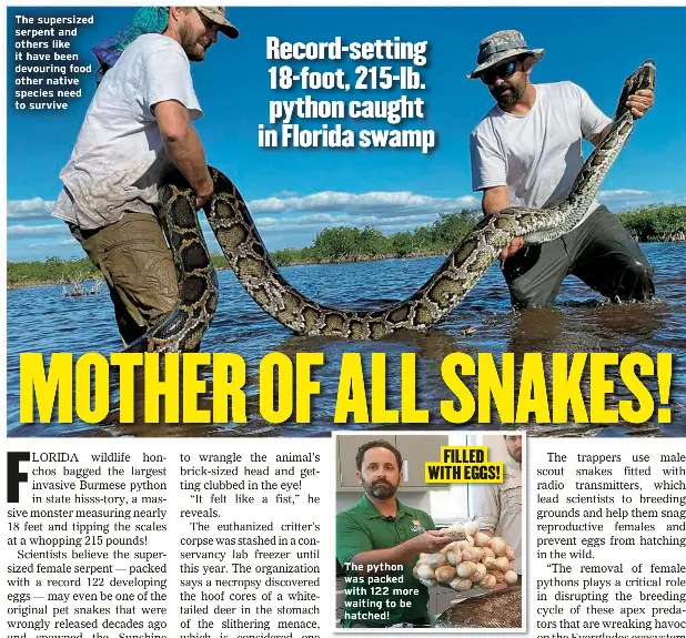 MOTHER OF ALL SNAKES! - PressReader