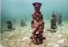 COLOMBIAN UNDERWATER ‘ART GALLERY’ SERVES AS CORAL HOME - PressReader