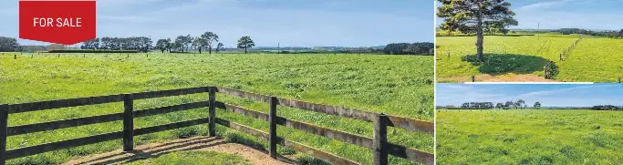 Grazing & Lifestyle on Hawera’s Edge - PressReader