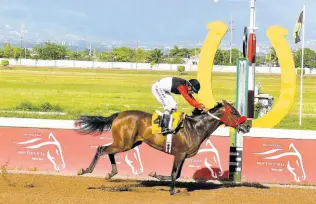 Princess Sharon will be the fairest of them all - PressReader