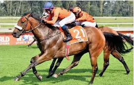 Duke Of Sussex is back on his favourite course - PressReader