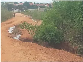 Vias do Bem aconselha bio-engenharia para a contenção de ravinas ...