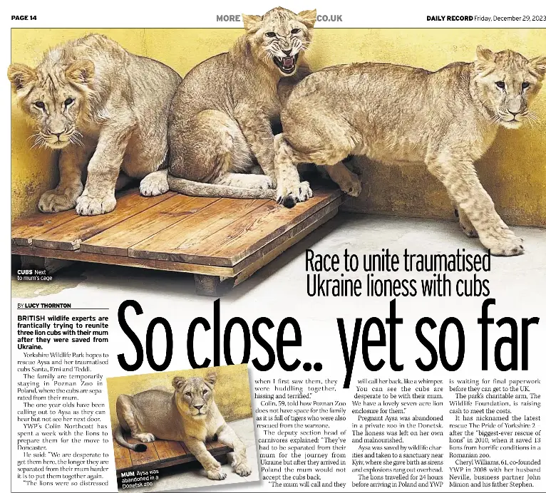 So close.. yet so far - PressReader