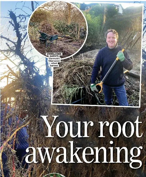 Your root awakening - PressReader
