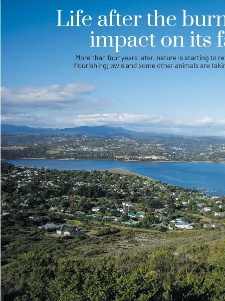 Life after the burn: the Knysna fires’ impact on its fauna and flora ...