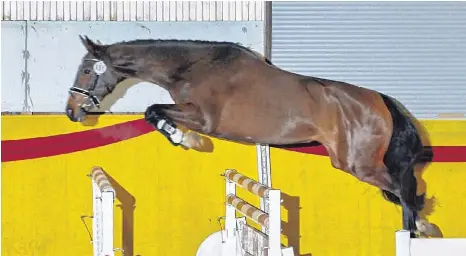 Klintanda HaB überzeugt das Preisgeric­ht - PressReader