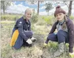 Fun in the sun planting saplings - PressReader