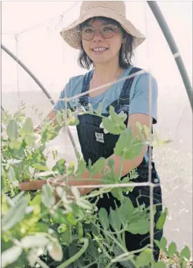 Urban farms are a jolly good idea - PressReader