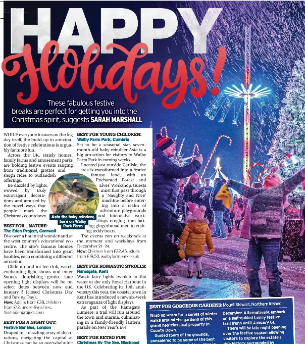 HAPPY HOLIDAYS - PressReader