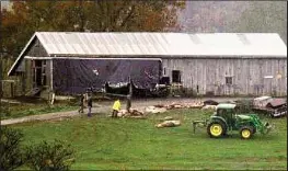 Animal slaughter sparks calls for overhaul of ownership laws - PressReader