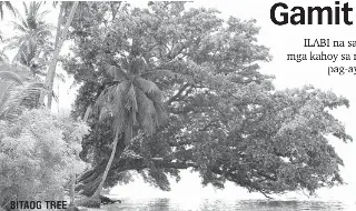 Gamit panambal sa atong mga kahoy - PressReader