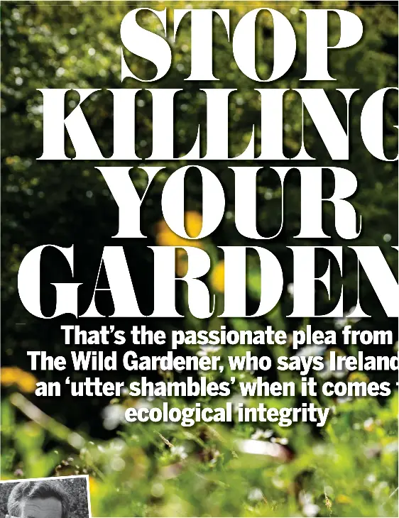 STOP KILLING YOUR GARDEN! - PressReader