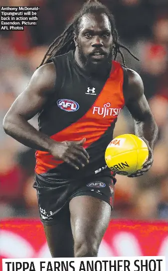 TIPPA EARNS ANOTHER SHOT - PressReader