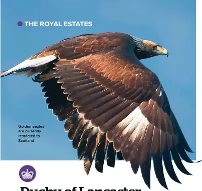 Duchy of Lancaster - PressReader