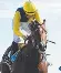 Magnier up early to take in Storm - PressReader