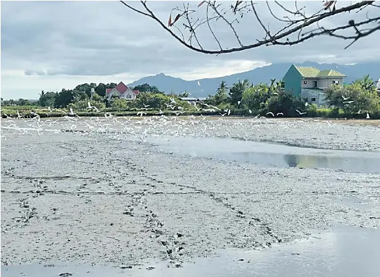 Nueva Vizcaya receives cash aid - PressReader