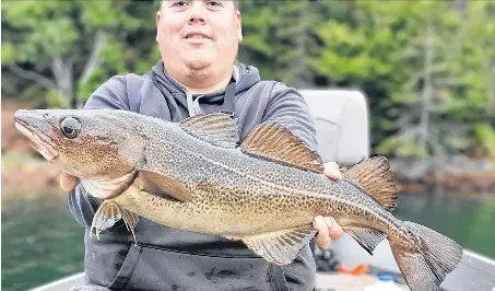 Exploring the wormy cod - PressReader