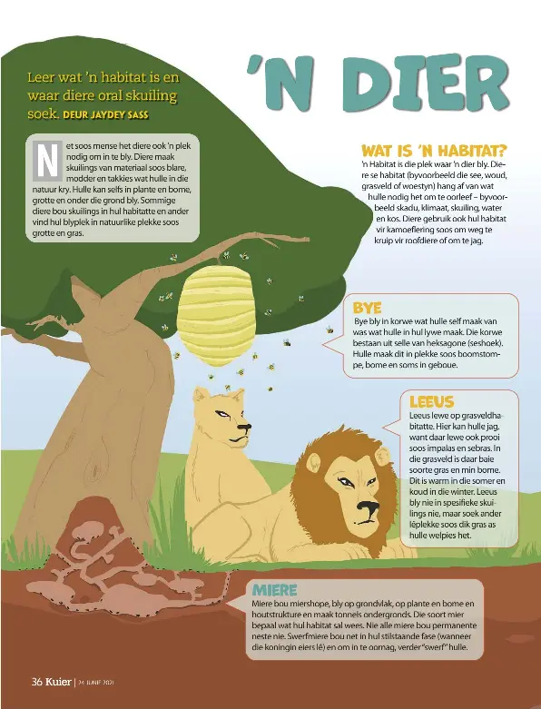 Jou kind en skool: Diere se habitatte en skuilings - PressReader