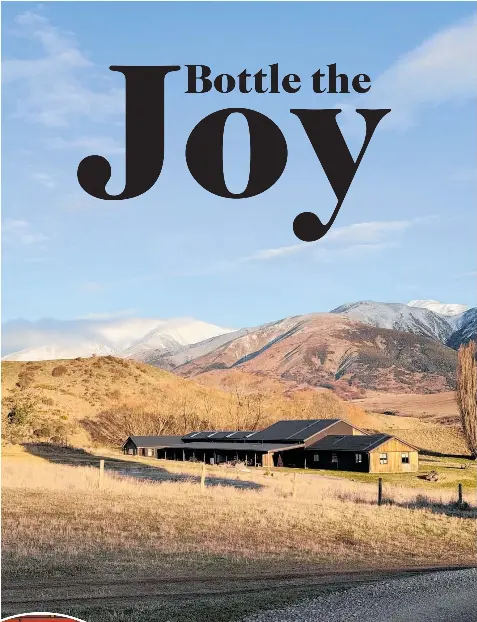 BOTTLE THE JOY - PressReader