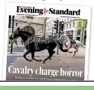 Two horses in cavalry bolt drama ‘seriously injured’ - PressReader