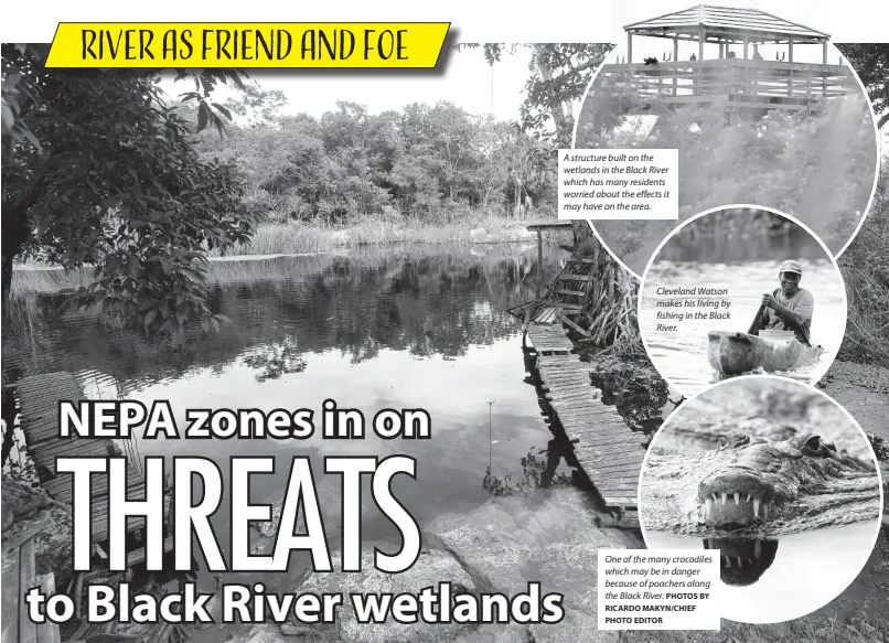 NEPA zones in on THREATS to Black River wetlands - PressReader