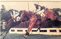 Punters will lose faith if Mullins - PressReader