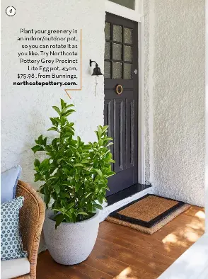 FRONT OF HOUSE AND PORCH SPRUCE UP - PressReader