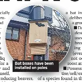 Anti-ULEZ protesters install bat boxes on ANPR cameras - PressReader