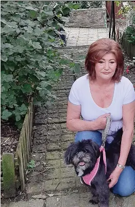 ALISON COMYN TALKS TO LYNNE ARCHER AS COLLON ANIMAL SANCTUARY - PressReader