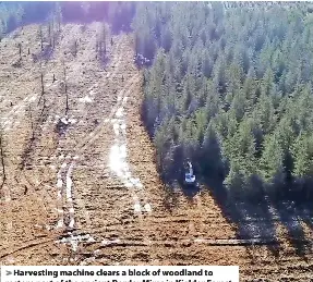 2,000 acres of ancient peat bogs set to be restored - PressReader