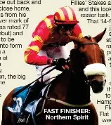 ELLISON’S CHARGE HAS SPIRIT - PressReader