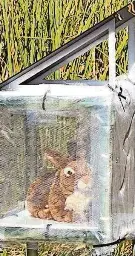 Robot bunnies deployed to lure invasive pythons - PressReader