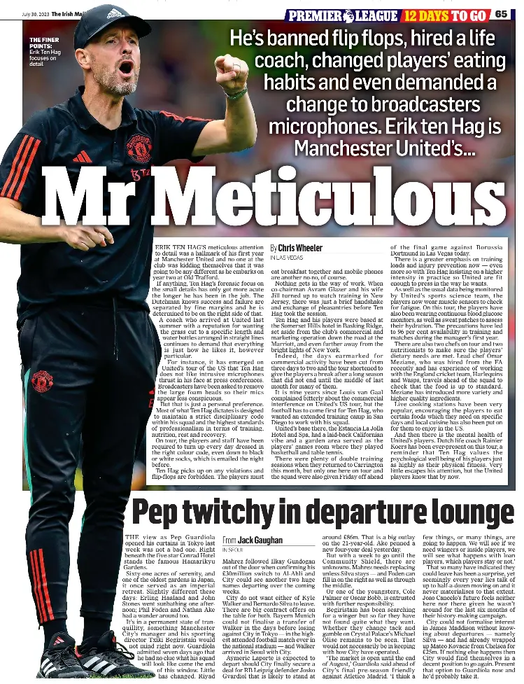 Mr Meticulous - PressReader