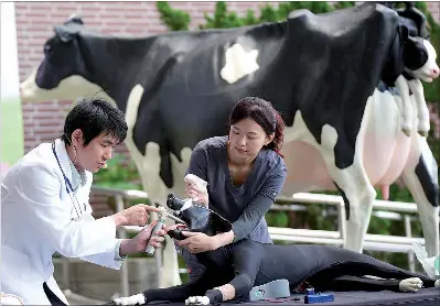 Vet school unveils bionic animals - PressReader