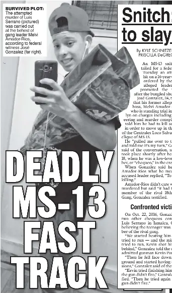 DEADLY MS-13 FAST TRACK - PressReader