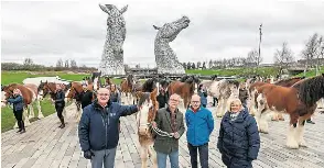 Gathering of heavy horses to celebrate The Kelpies’ 10th anniversar­y ...