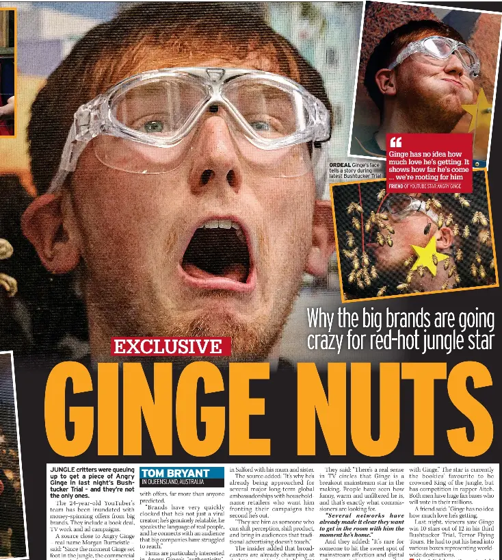 GINGE NUTS - PressReader