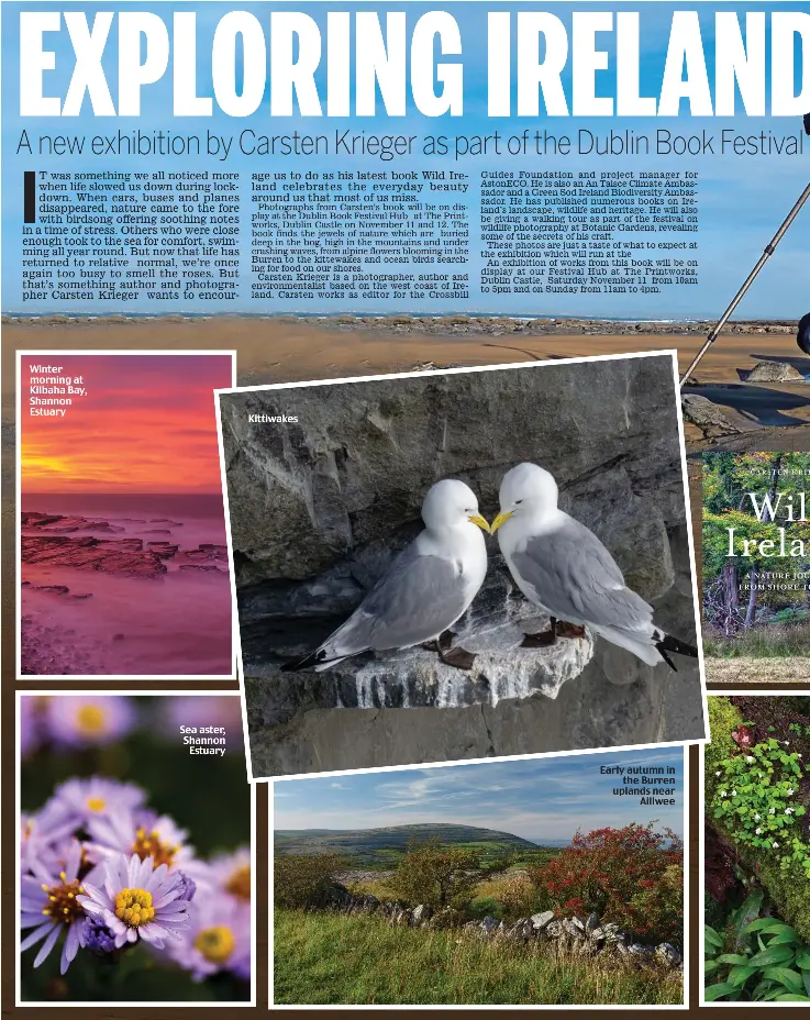 EXPLORING IRELAND - PressReader