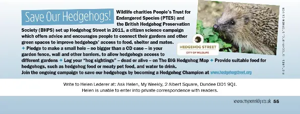 Save Our Hedgehogs! - PressReader