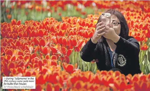 Lot of lessons to be learned from history - PressReader