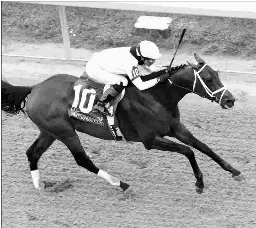 Skippylong­stocking will head to Stephen Foster off big Beyer - PressReader