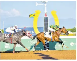 AmTote crash shuts down Caymanas Park - PressReader