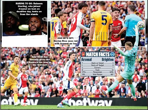 RICE SEES TO FORGET FOR TITLE HOPEFULS - PressReader