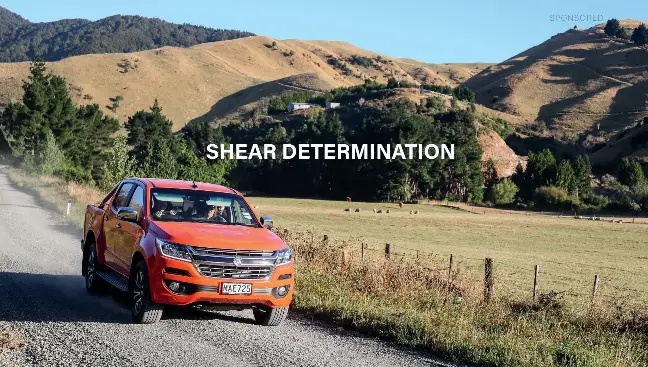 SHEAR DETERMINAT­ION - PressReader