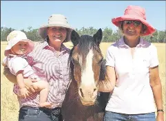 Giddy-up for Gold Cup - PressReader