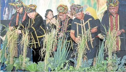 Month-long Kaamatan kicks off in Ranau - PressReader