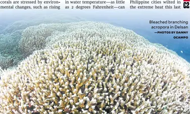 Tubbataha’s battle of the bleaching - PressReader