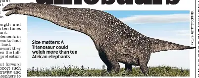 The titan of dinosaurs - PressReader
