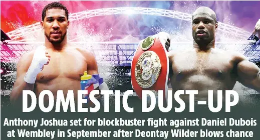 DOMESTIC DUST-UP - PressReader