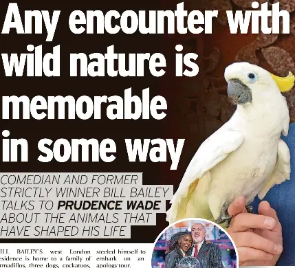Any encounter with wild nature is memorable in some way - PressReader